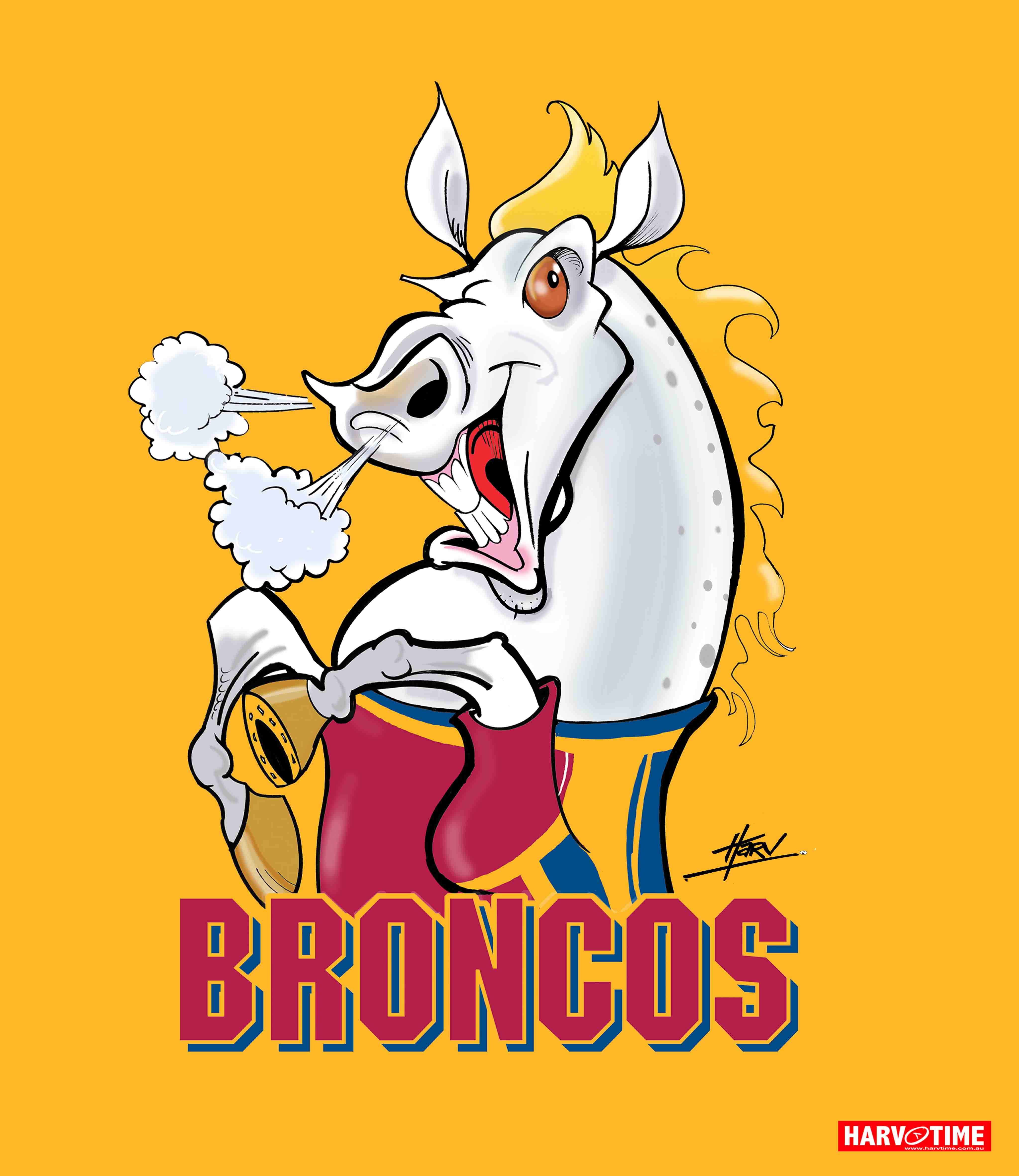 Broncos Flannel Fleece Blanket Art by Paul Harvey – Mannum Wholesalers